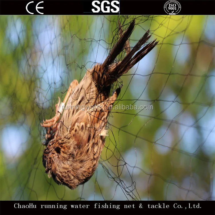 Bird Mist Nets,Animal Catching Nets - Buy Bird Mist Nets,Animal ...