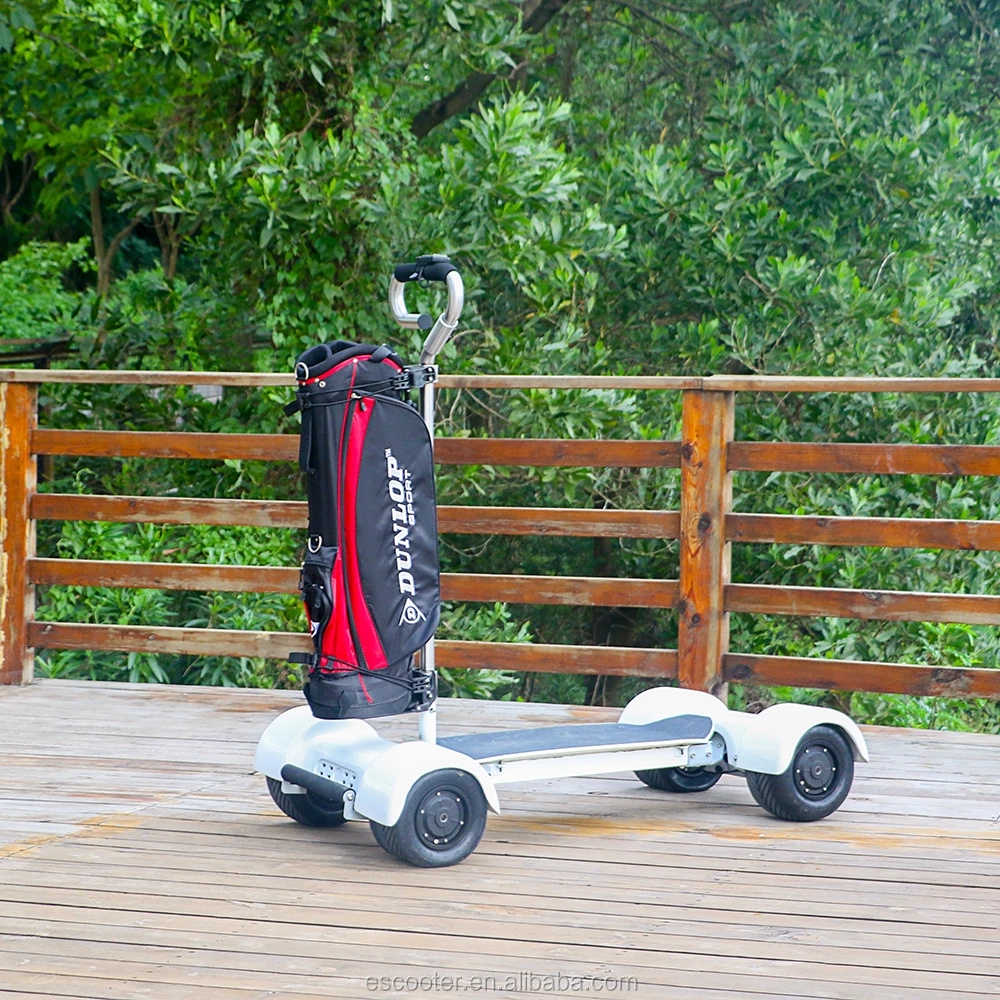 Useful 2000W EcoRider E7-2 Electric Golf Skateboard for Birthday Sports ...