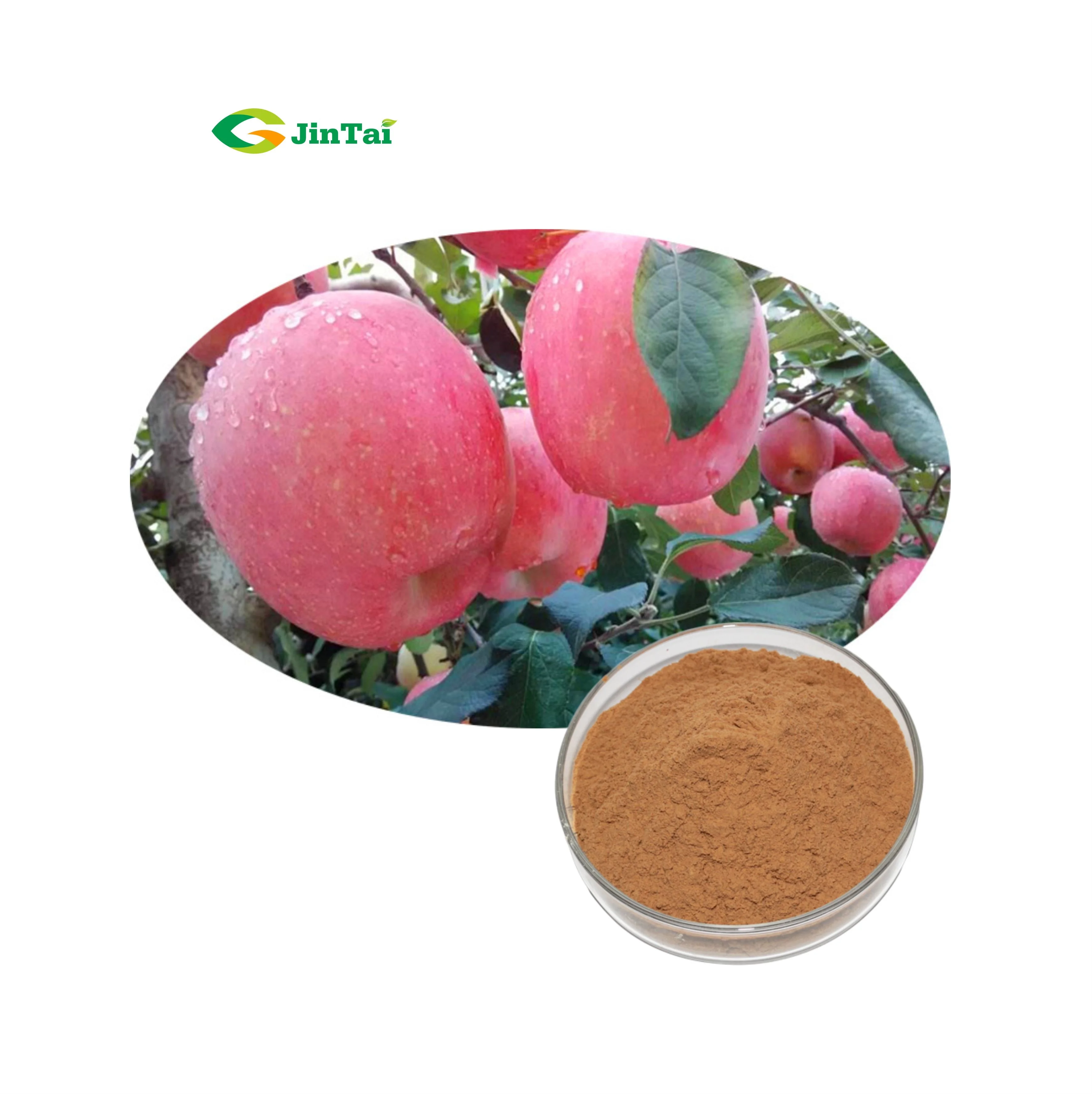 Apple Peel Extract Phlorizin Procyanidin B2 - Buy Procyanidin B2 ...