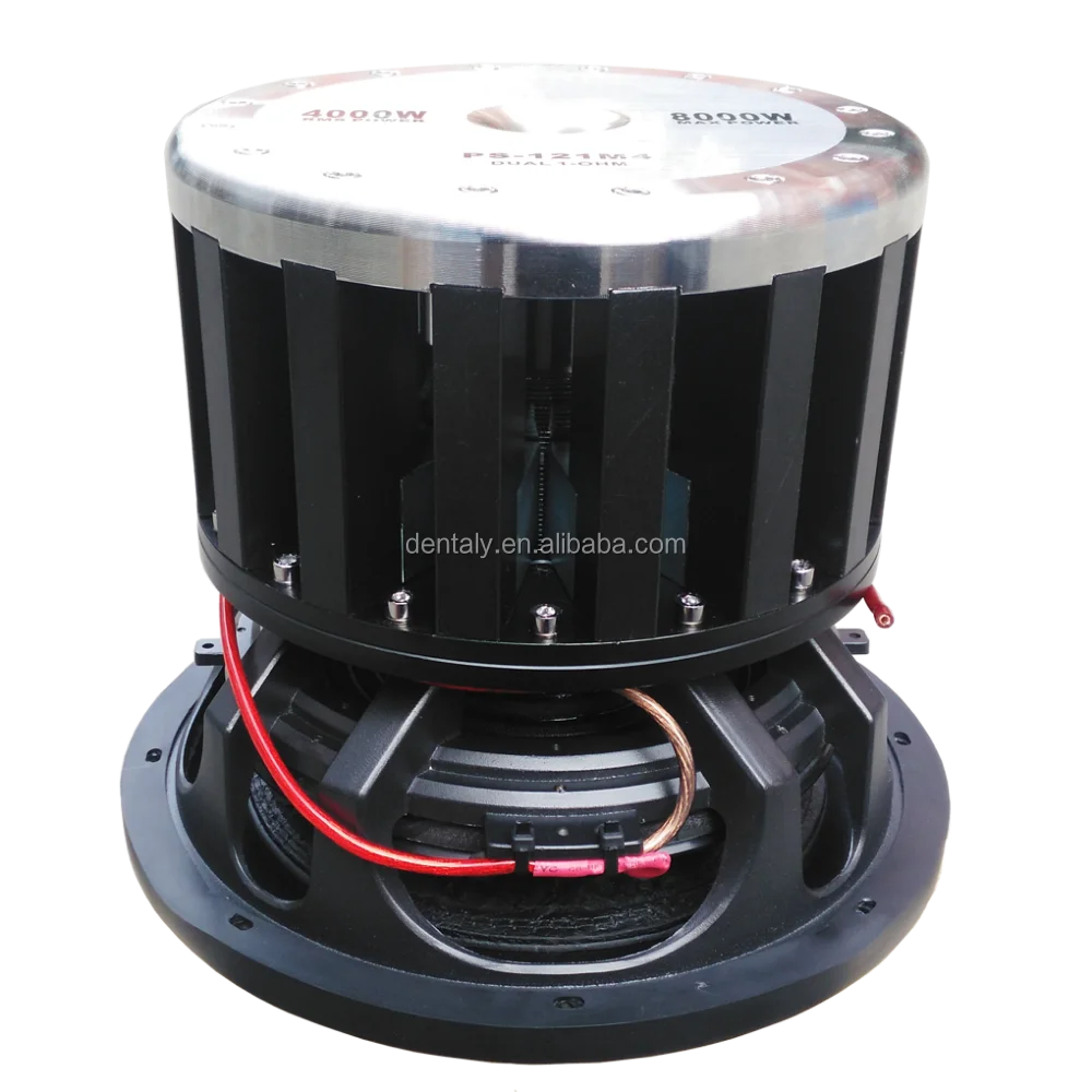 High Level Hot Sales Neo Motor Neodymium Sub Woofer for Car