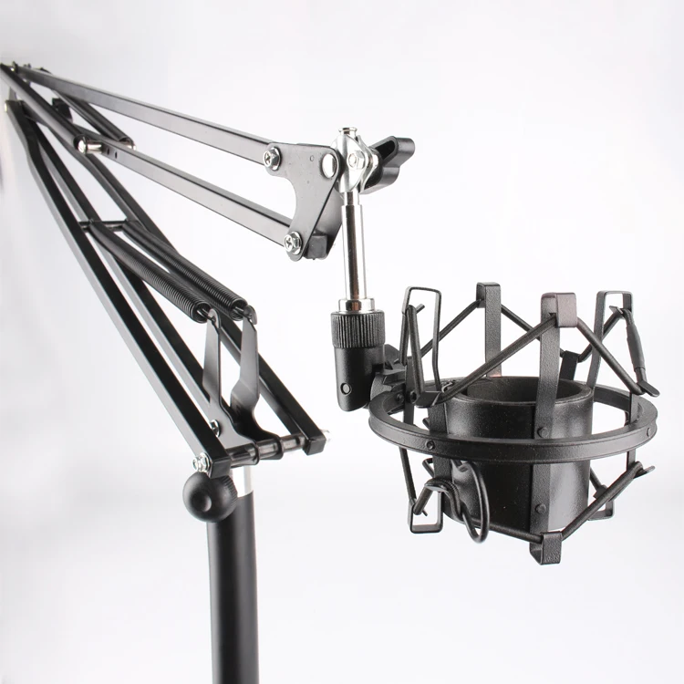 Hot Sale Rp-59 Convenient Floor Standing Dual Suspension Spring Mic ...