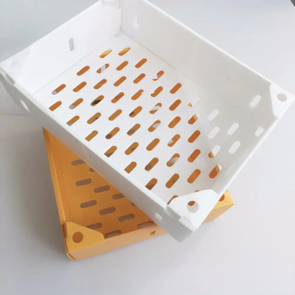 Fresh Okra Recyclable Durable Plastic Packaging Boxes Pp Polypropylene ...