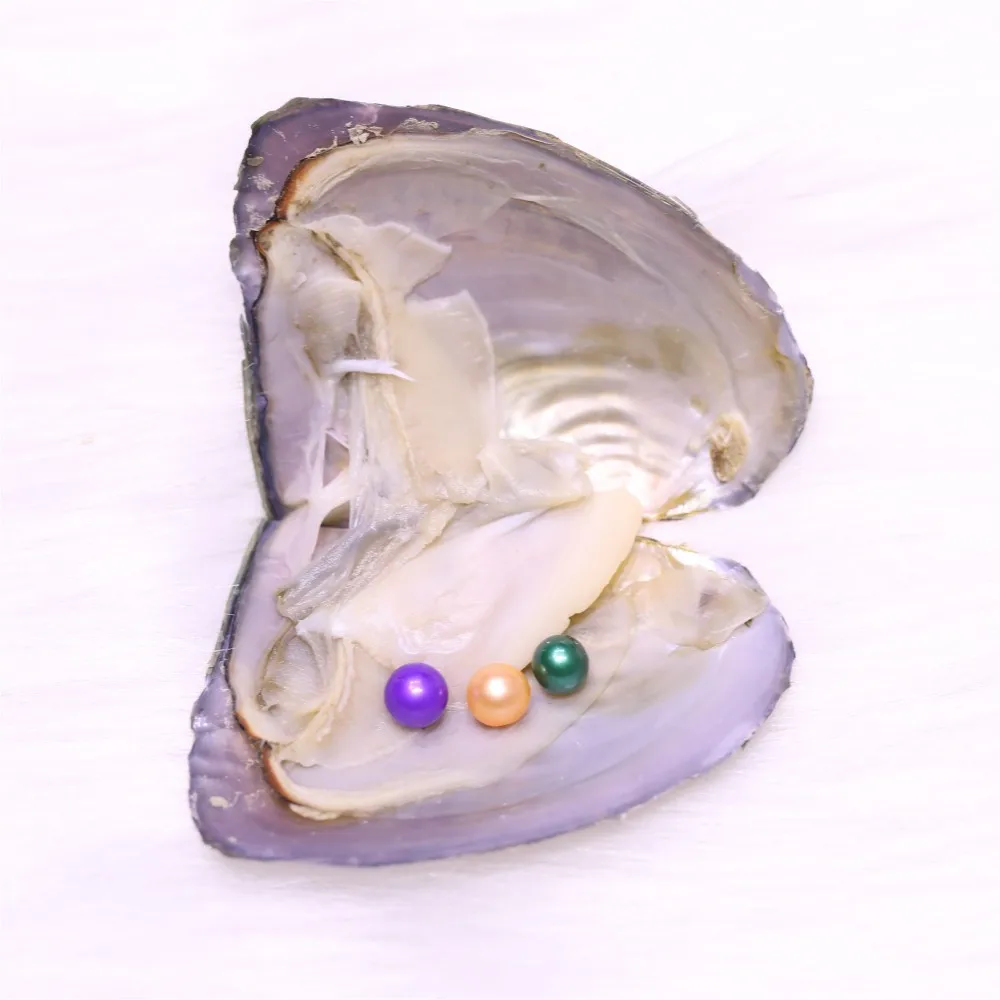 200 Freshwater Oysters 6-8mm Mix 34 Colors Round Natural Pearls Single ...