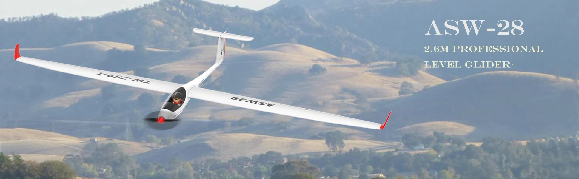 ASW28 Brushless Foam Glider Airplane PNP | 6-Channel RC Aircraft