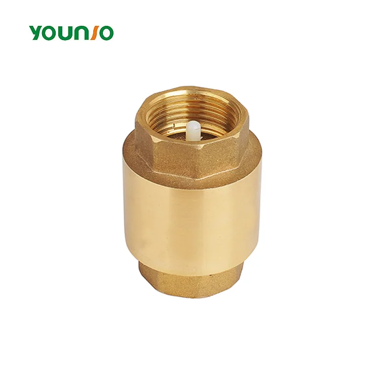1/2 Inch Brass Check Valve,Plastic Check Valve With All Brass,Vertical ...