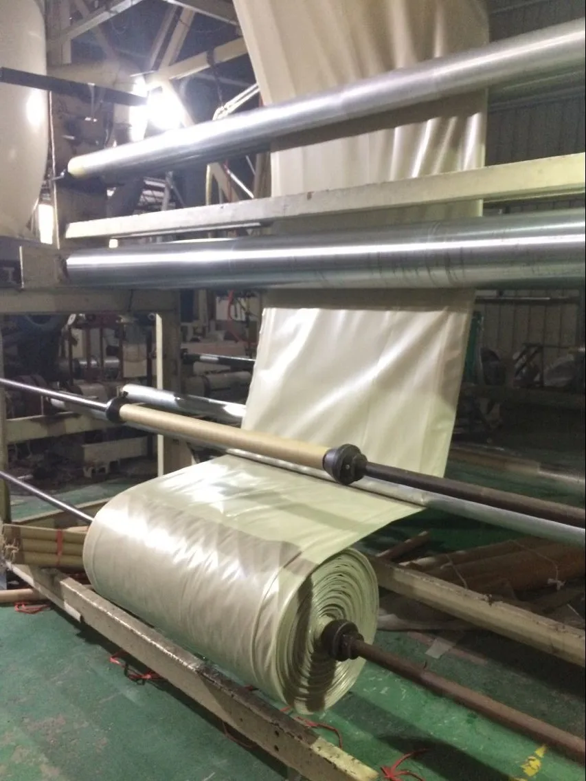 Shop Hot Sale 250 Micron Polythene Clear Plastic Sheeting 10 Mil ...