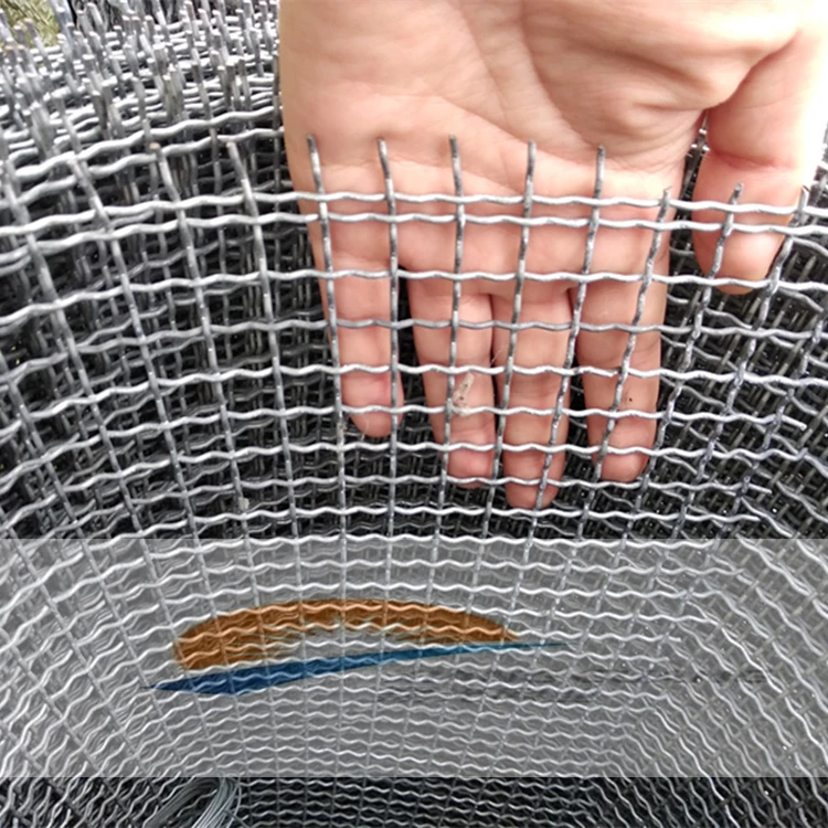 High Quality 100 Mesh Stainless Steel Wire Screen Plain Weave Woven Ss ...