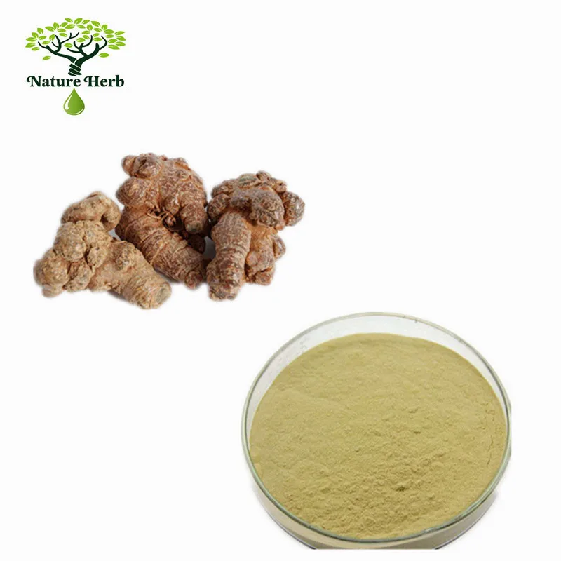 100% Natural Sanchi Extract Tienchi Ginseng Powder Panax Notoginseng ...