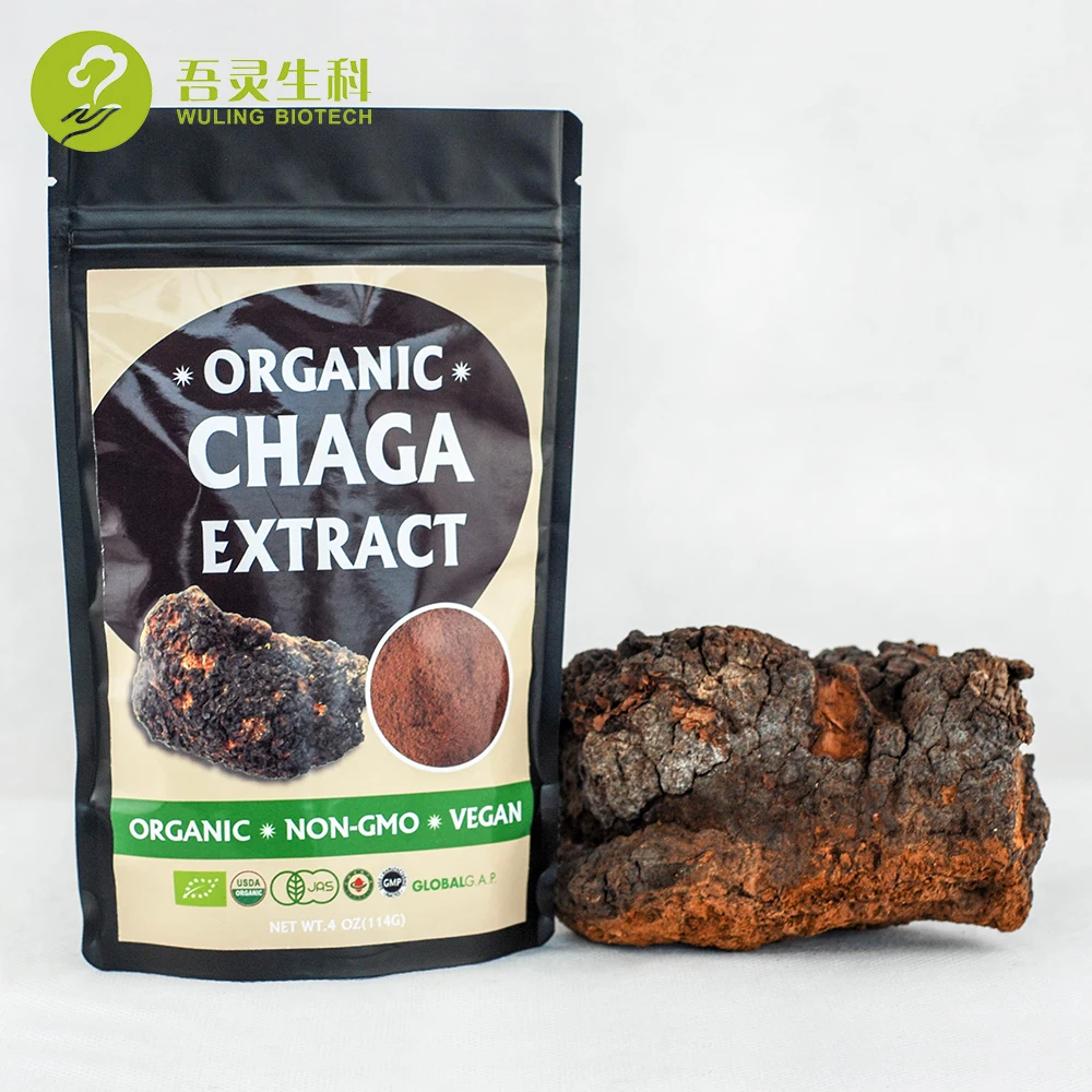 Wholesale Cordyceps Chaga Reishi Mushroom Extract Powder Chaga P.e Soy ...