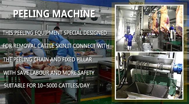 Cattle Slaughter Equipment - Efficient Halal Line Solutions