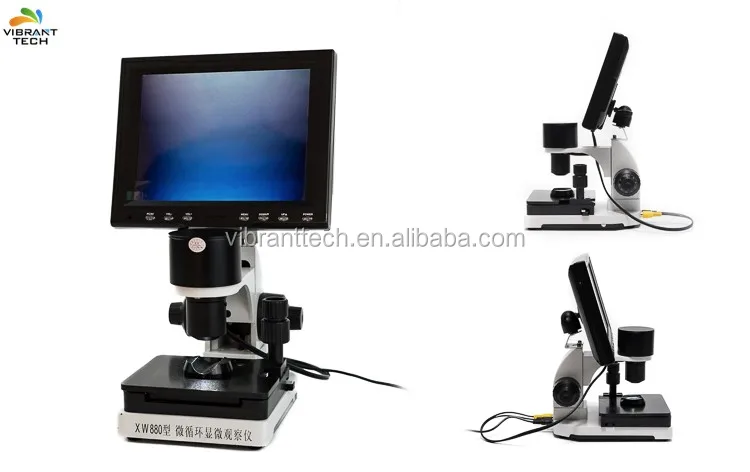Nailfold Video Capillaroscopy Video Capillaroscope