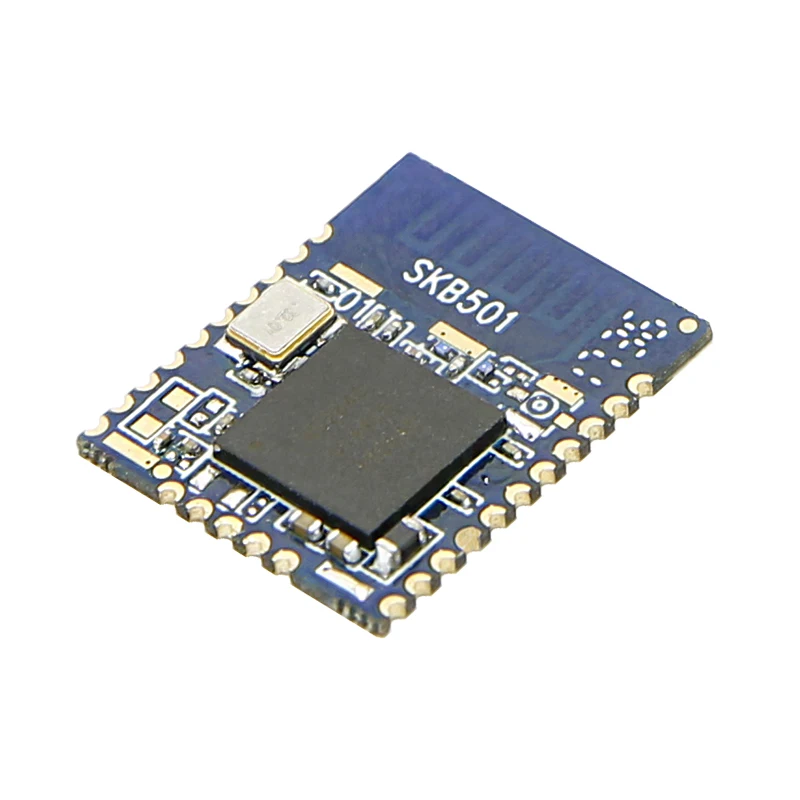 Skylab Multiprotocol Bluetooth Long Range Nrf52840 Chipset Ble 5.0 ...