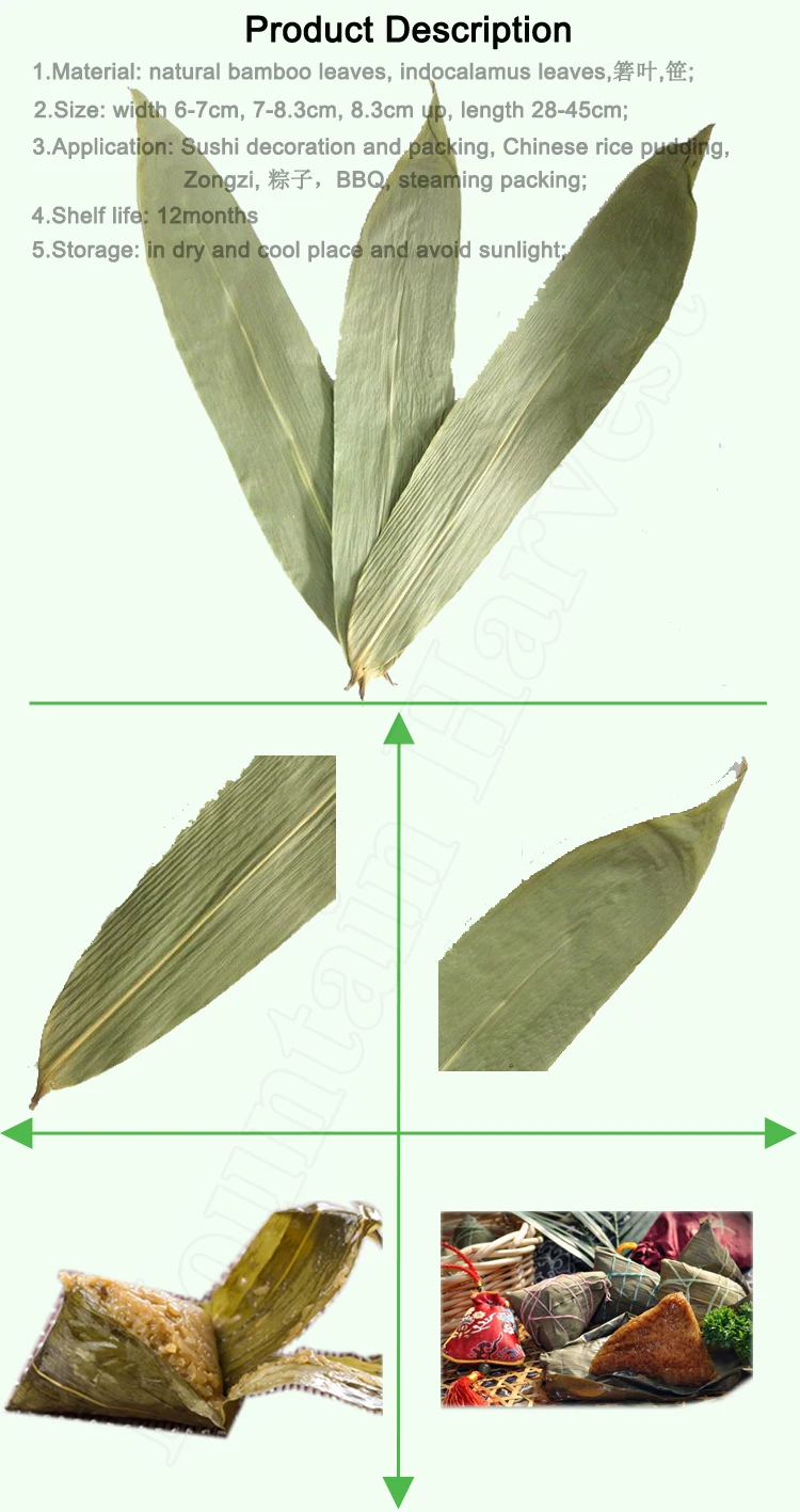Natural Wild Dried Bamboo Leaf for Making Zongzi - Bambu Kering