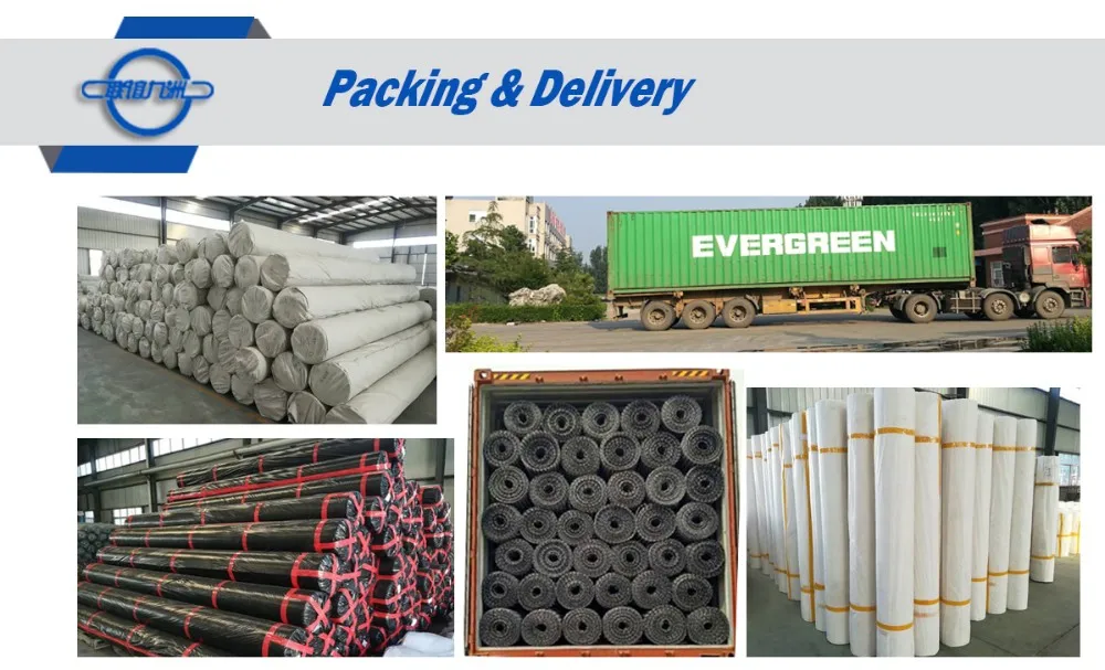 Plastic Mesh Grid Polypropylene PP Biaxial Geogrid for Road Soil Stabilizer