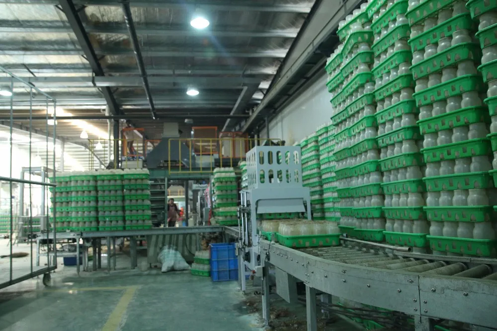 Cultivation Cold Storage - Ideal Mushroom Storage Solutions