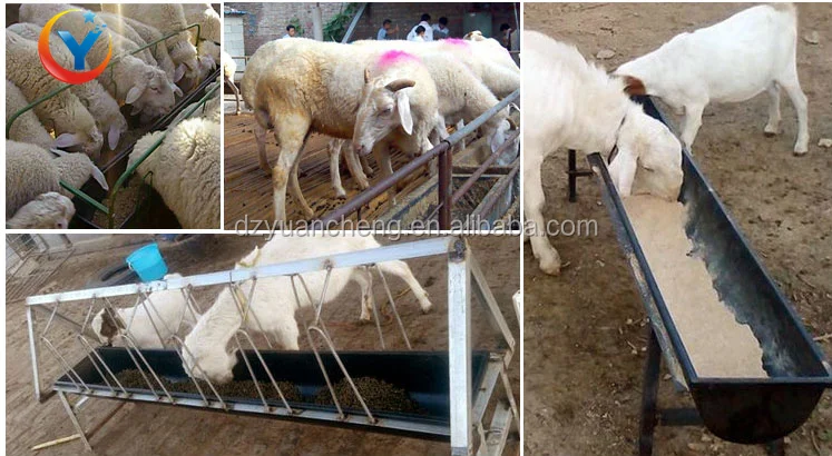 Plastic Troughs For Sheep Goat Farming Sheep Plastic Feeder - Buy ...