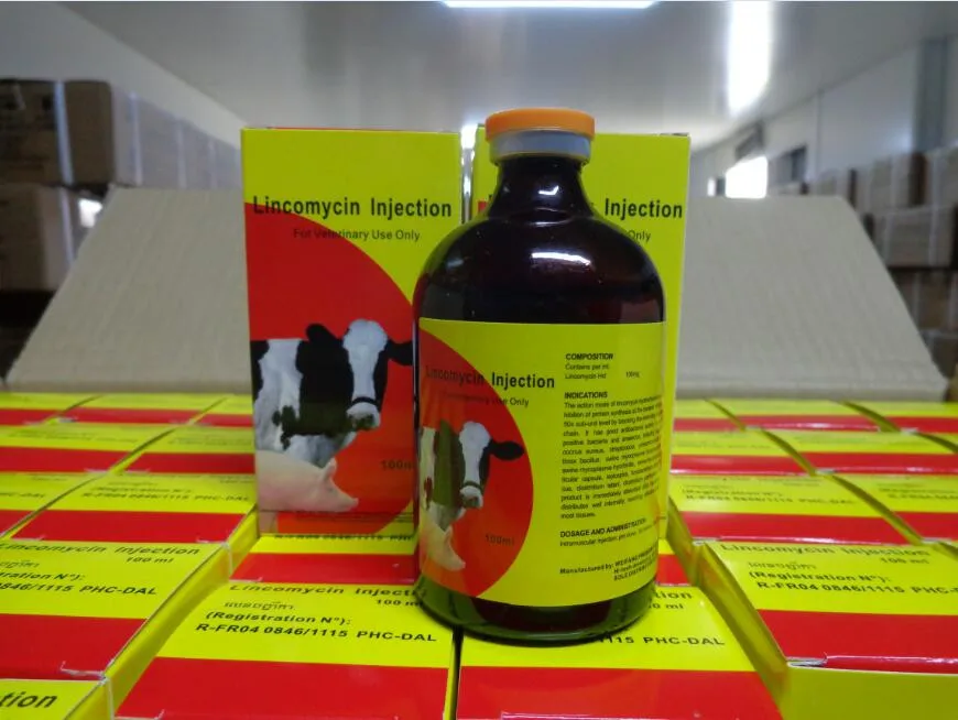 10% Lincomycin Long Acting Injection For Animal/veterinary Medicine ...