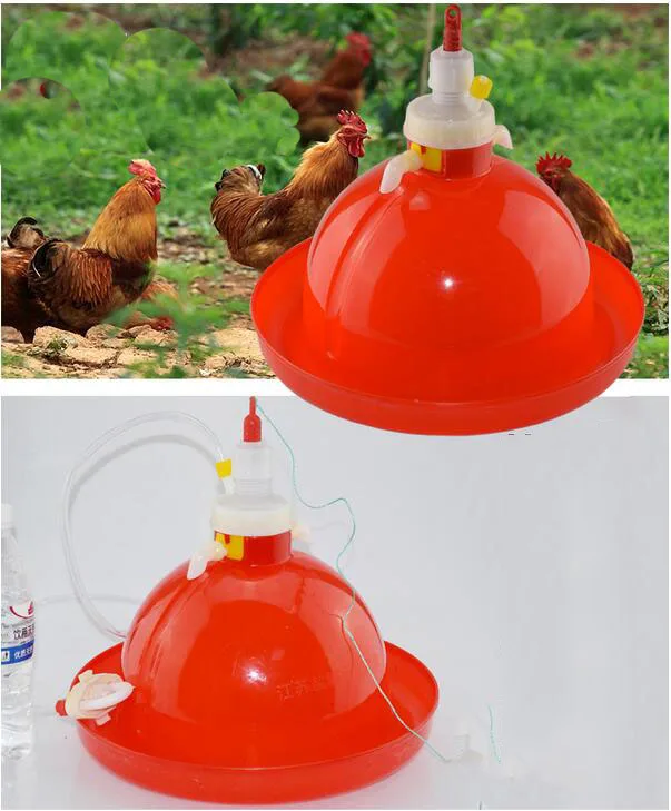 Tongda High Quality Automatic Poultry Drinker Chicken Feeders And ...