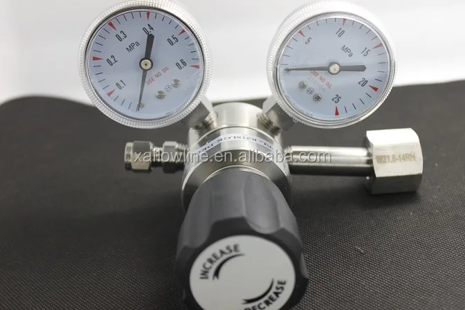 Stainless Steel Gas Pressure Regulator for SO2 NH3