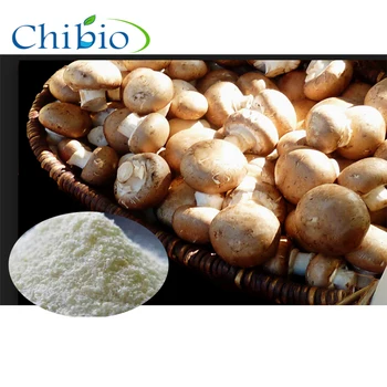 Food Grade Chitin Chitosan,Mushroom Chitosan - Buy Mushroom Chitosan ...