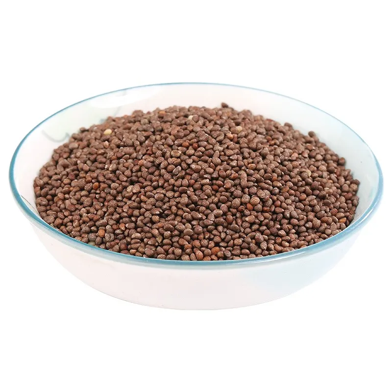 S256 Zi Su Wholesale Factory Supply Purple Perilla Seed For Oil - Buy ...