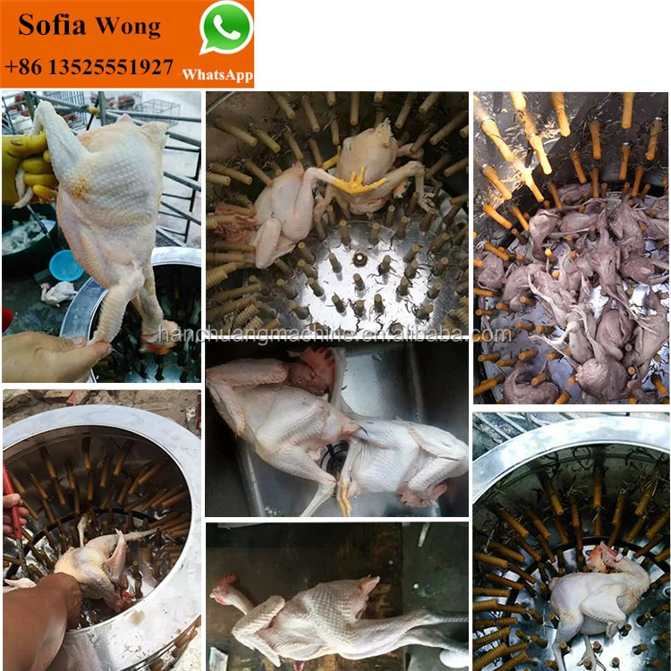 Chicken Feet Peeling Machine - High Productivity & Efficiency