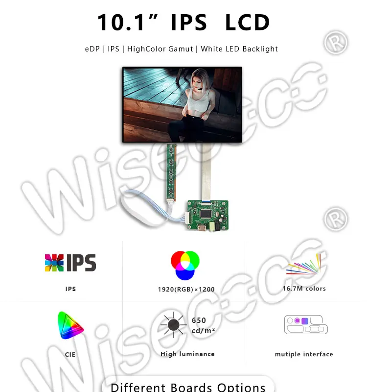 10.1 Inch LCD Module - High Contrast, Touch Screen Display