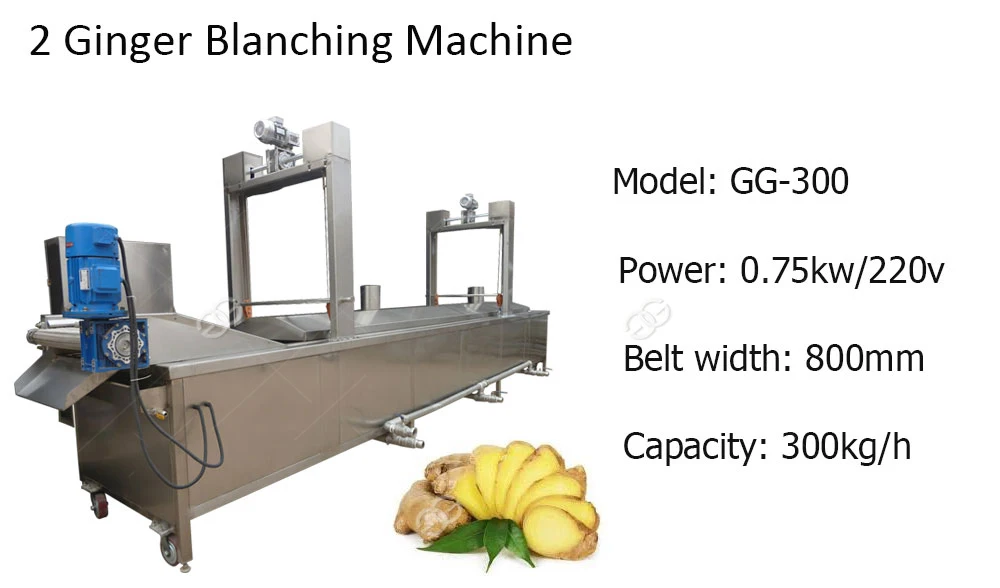 Automatic Ginger Powder Grinder Price In India Turmeric Grinding ...