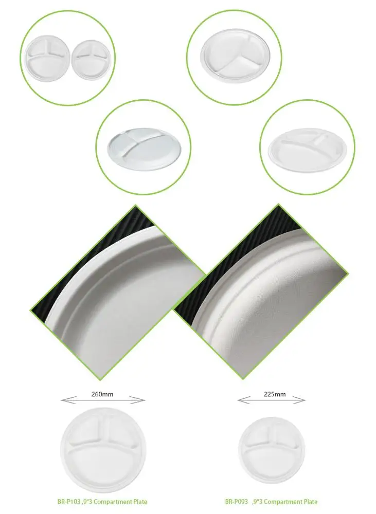 Disposable Take-out Plate - Buy Disposable Plate,Biodegradable ...