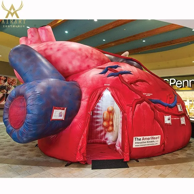 Lifelike Inflatable Lungs Model Balloon - Buy Giant Size Teaching ...