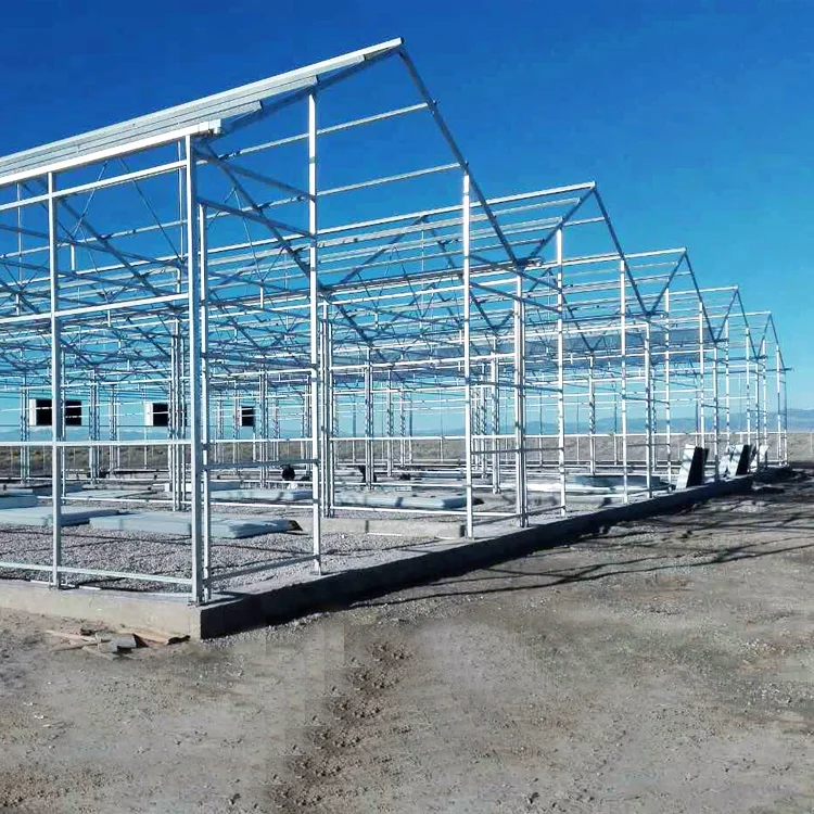 Glass Used Commercial Greenhouse for Sale - GT29 Model