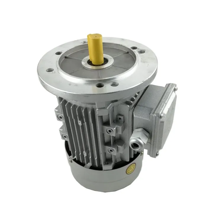 MS 3 Phase Asynchronous Motors - High Efficiency & Durability