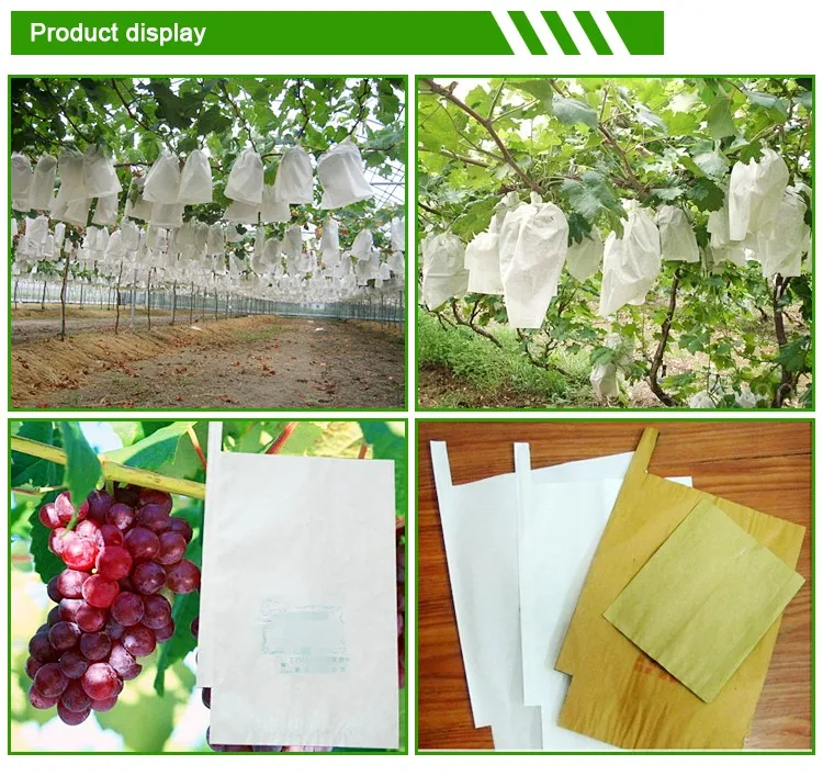 Customized Popular Fruit Protect Paper Grape Bag - Buy Fruit Protect ...