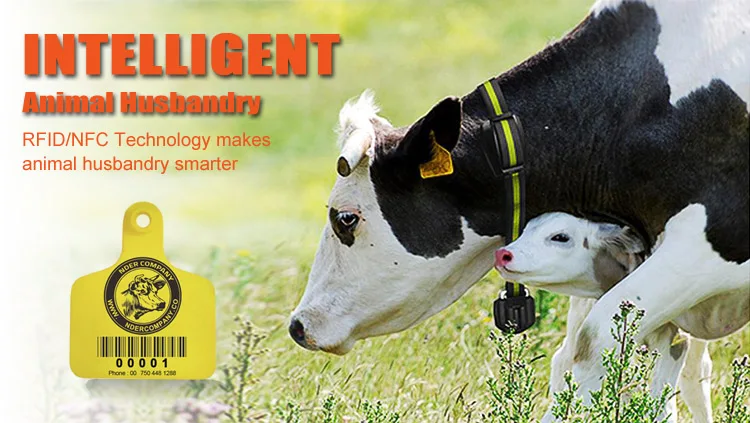 Plastic Uhf Barcode Rfid Cow Animal Ear Tag For Cattle - Buy Animal Ear ...