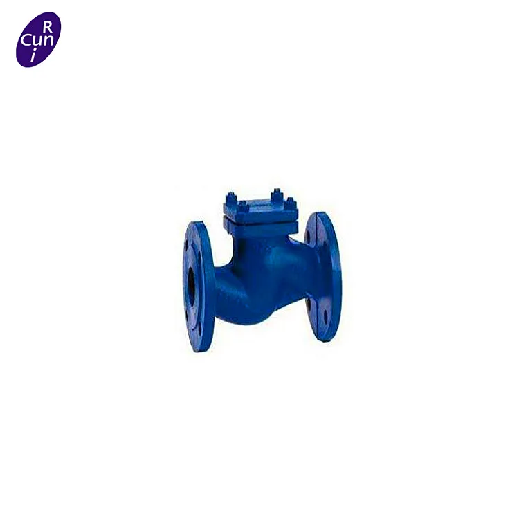 Ductile Cast Iron Swing Flapper Check Valve - Buy Flapper Type Check ...