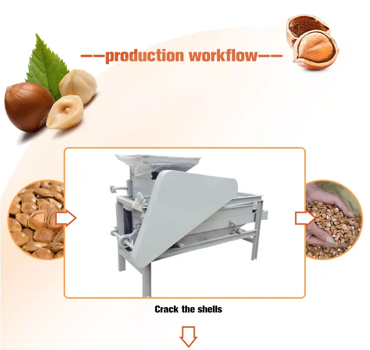 Hard Shell Palm Kernel Cracking Machine - High Productivity