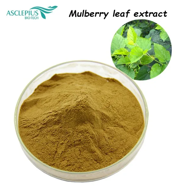 High Quality White Mulberry Leaf Extract Powder/mulberry Leaf Extract ...