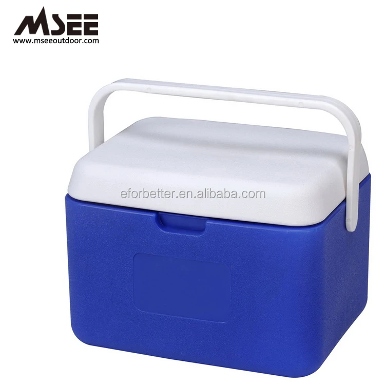 Mini Hard Plastic Picnic Cooler - 5L Capacity & Custom Logo