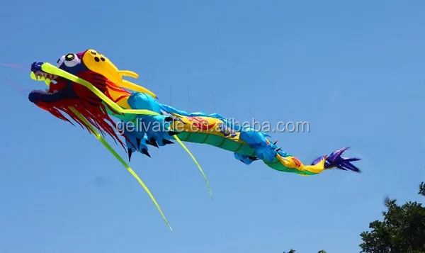 Shop Large Nylon Inflatable Chinese Dragon Kites for Sale