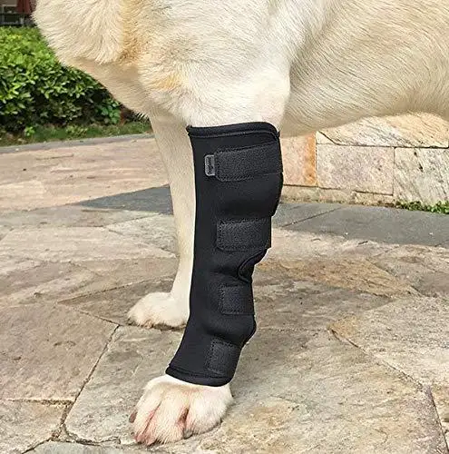 High Quality Hind Leg Compression Sleeve for Dogs