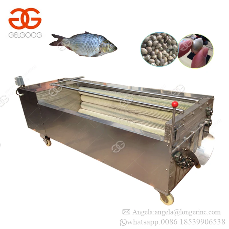 Seafood Oyster Mussel Clams Seashells Washing Machine Automatic Fish ...