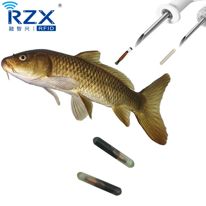2.12x12mm Injectable Fish Rfid Animal Tracking Micro Chip Microchip Pet ...