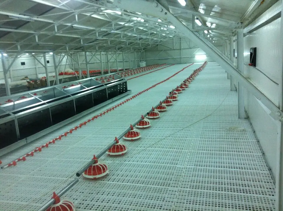 Goldenest Plastic Slatted Flooring for Poultry - Durable & Corrosion ...