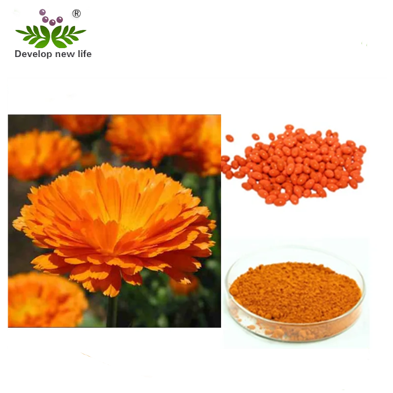 100%natural Marigold Extract Powder/tagetes Erecta L.of Lutein ...