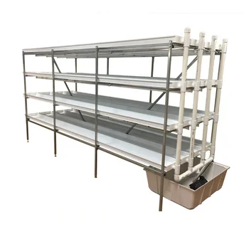 Barley Fodder Tray Hydroponic Fodder Vertical Farming Microgreen Trays ...