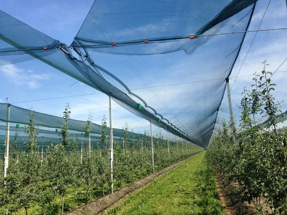 Plant Supply Car Hail Protection - Anti-Hail Net Covers