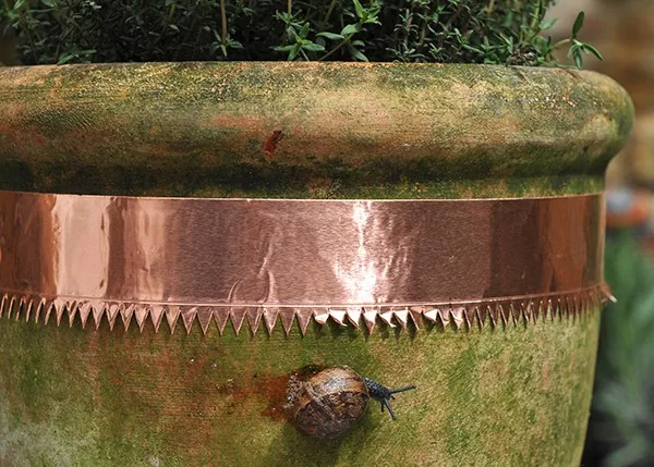 Garden Slug Snail Copper Tape Barrier - Repel Snails Effectively