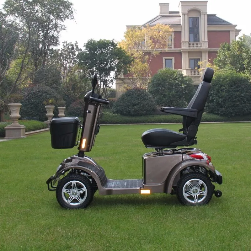 R9-S Digital Display off Road Electric Scooter - High Torque Mobility ...