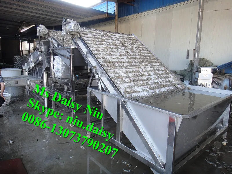 Automatic Shrimp Grader Sorter/prawn Sorting Grading Machine/fresh ...