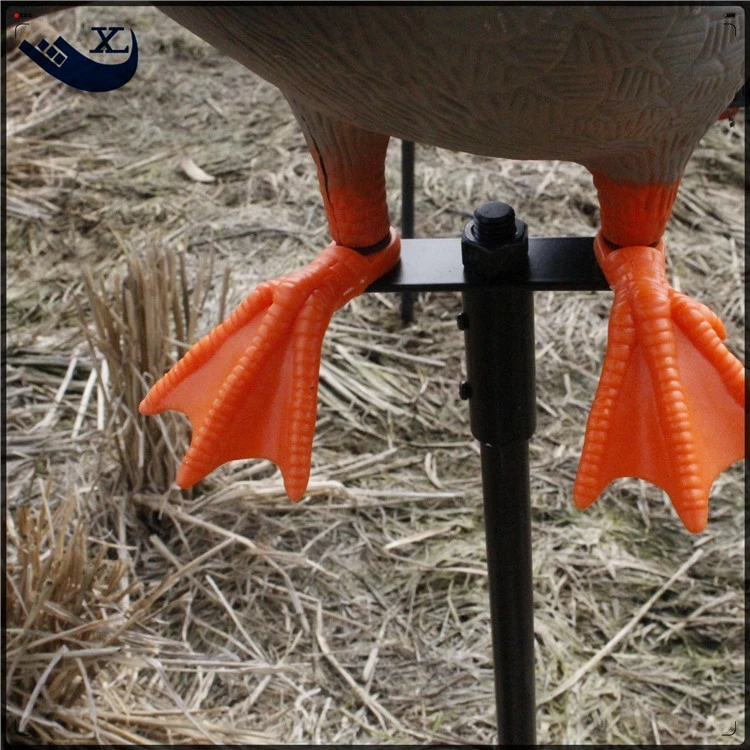 Plastic Gadwall Motion Dummy Duck Decoy Hunting Device - Buy Plastic ...
